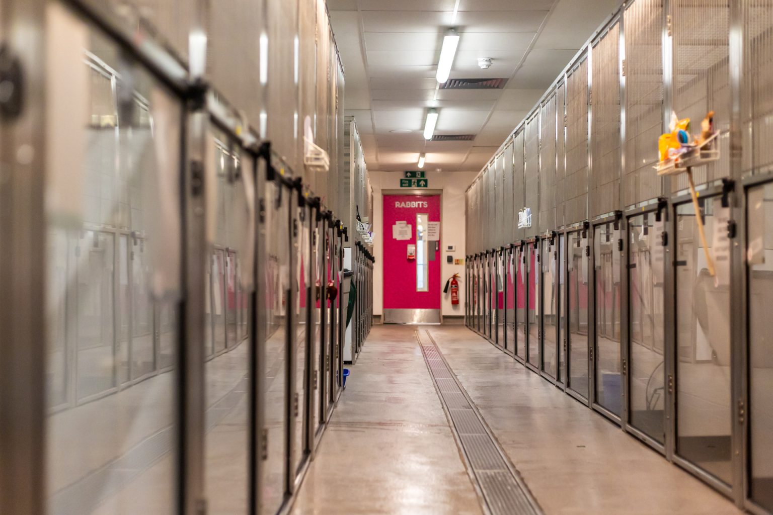 Our Centres - Scottish SPCA