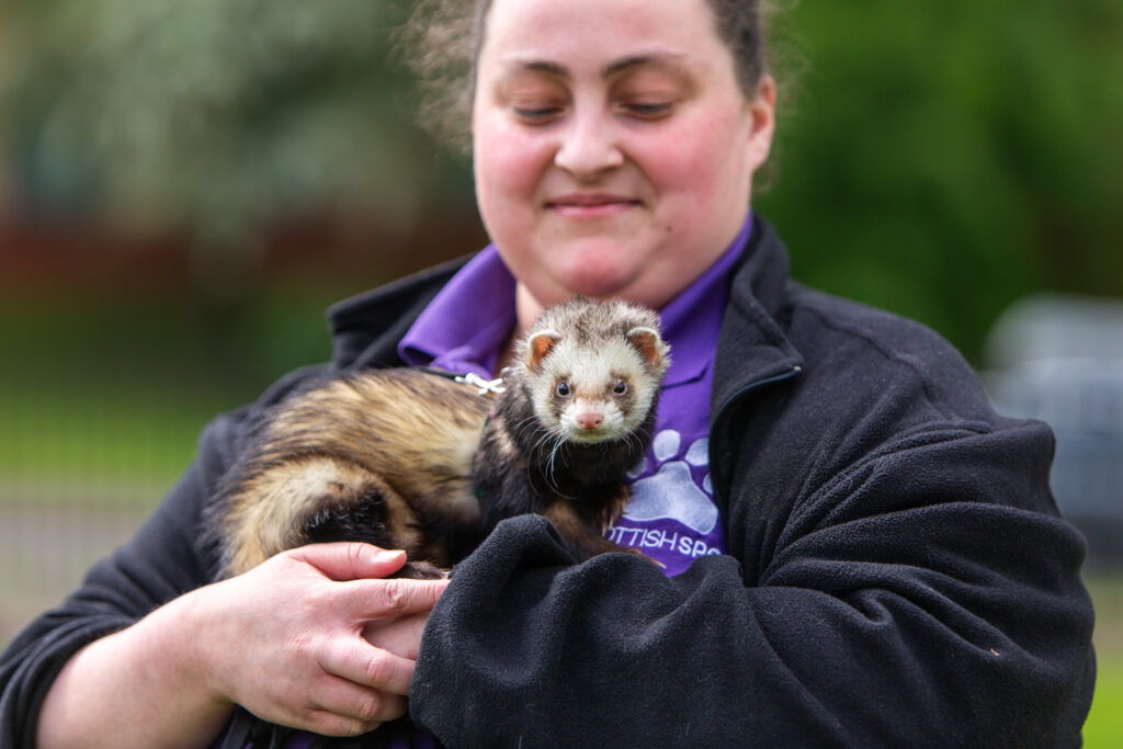 Volunteer - Scottish SPCA