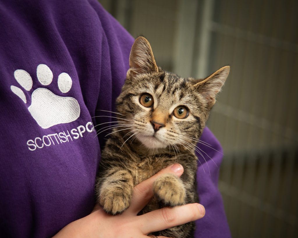 Factsheets - Scottish SPCA