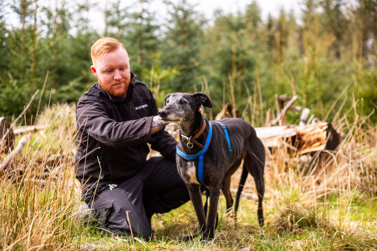 General - Scottish SPCA