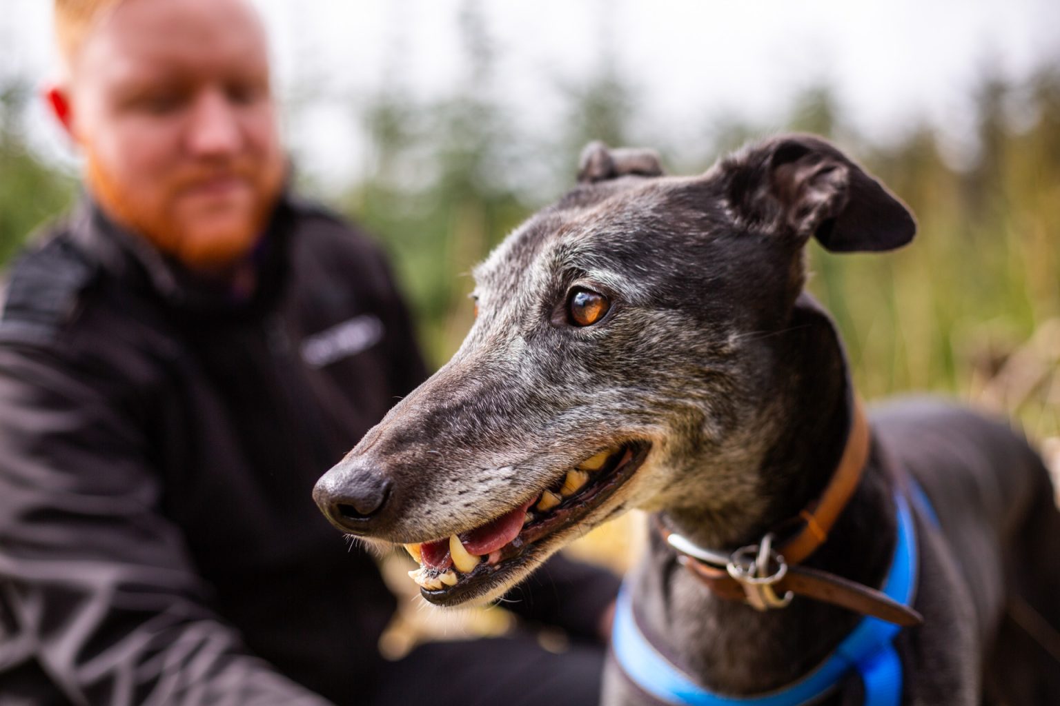 Adoption - Scottish SPCA