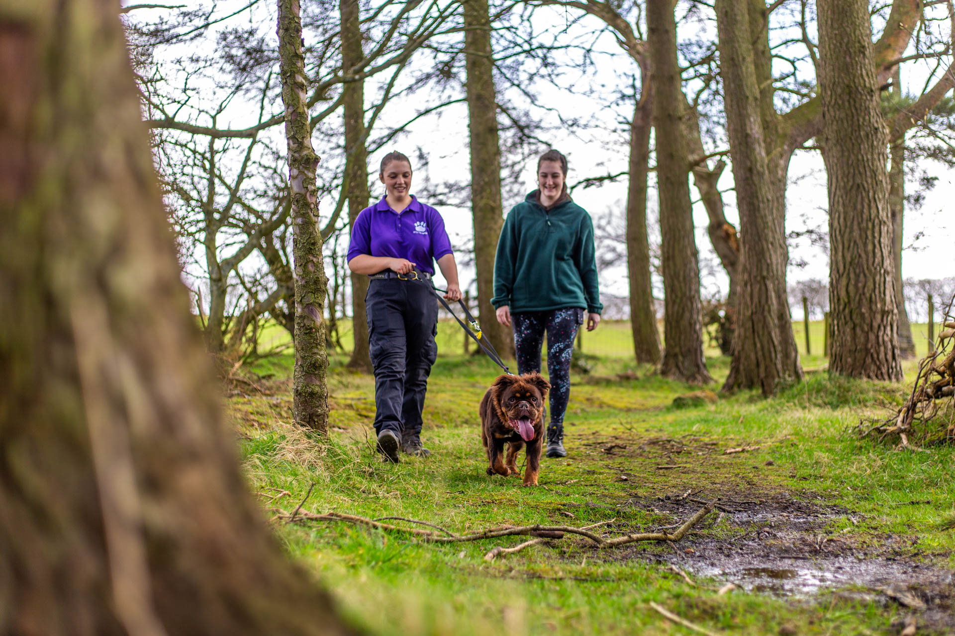 Youth Volunteering - Scottish SPCA