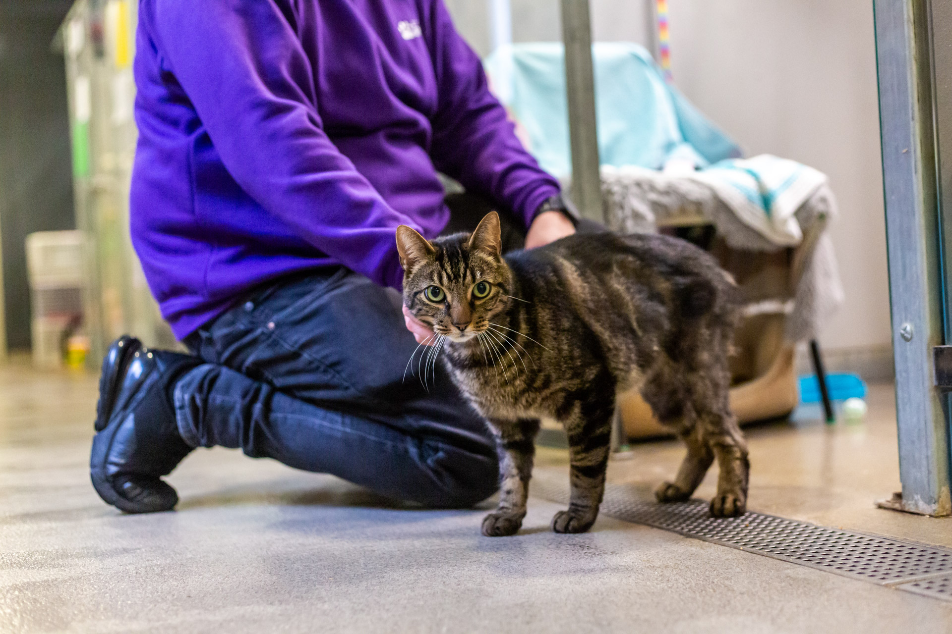 Ways to Help - Scottish SPCA