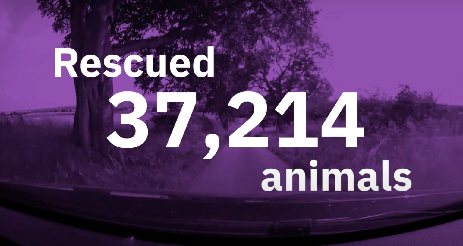 About - Scottish SPCA