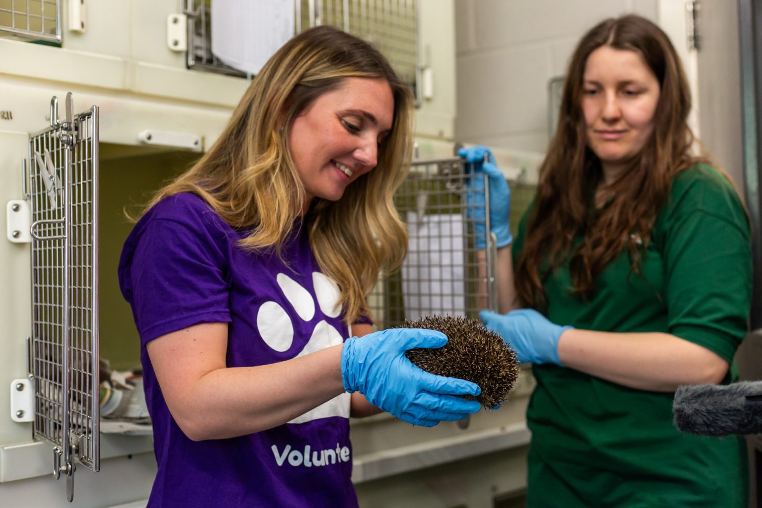 Volunteer Roles - Scottish SPCA
