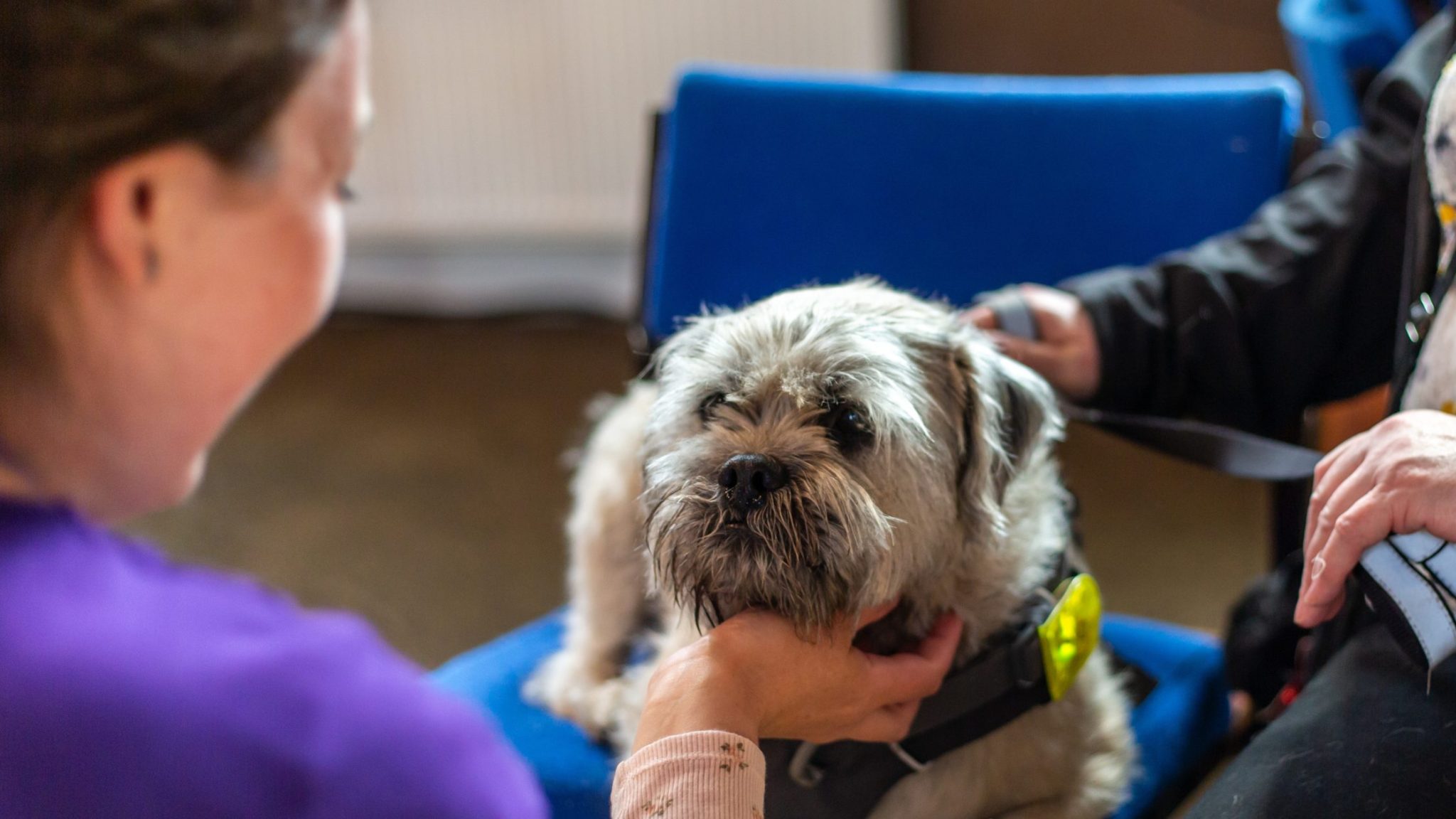 Scottish SPCA reveals rising demand – and growing support – in new mid ...