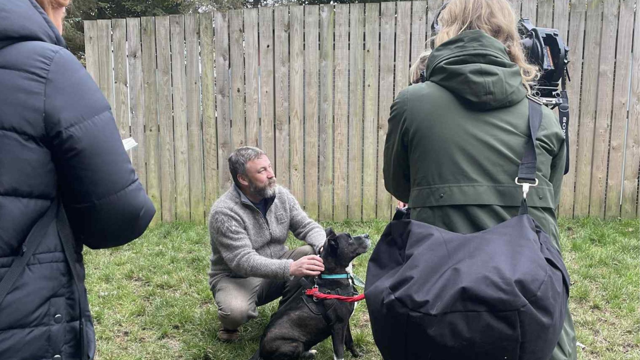 Scottish SPCA’s Gazza steals the show in BBC ALBA’s new rescue dog series - Scottish SPCA