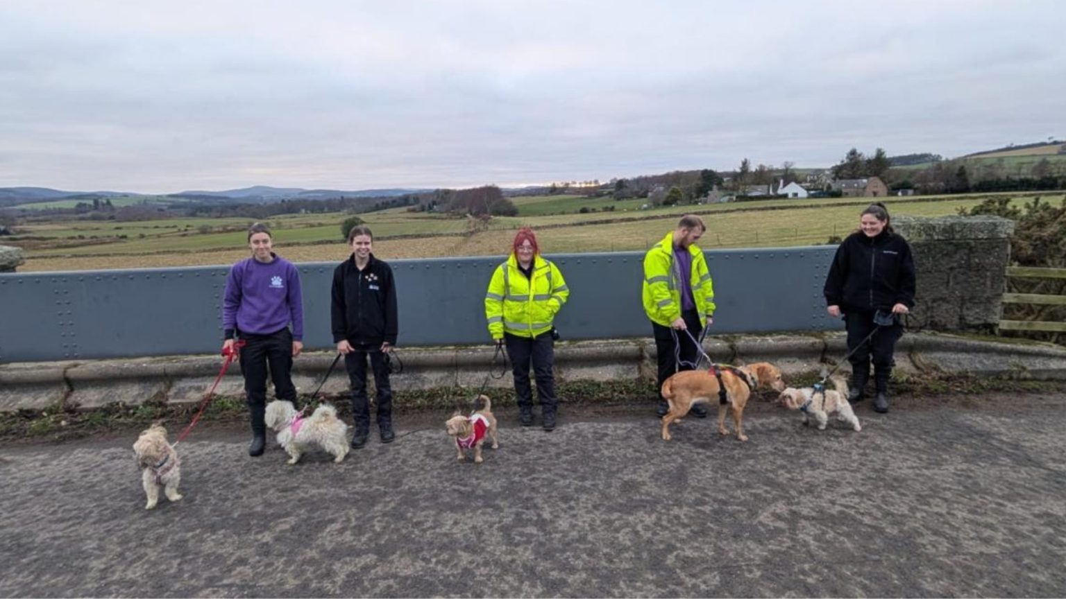Furry residents at Scottish SPCA Aberdeenshire centre enjoy a Boxing ...