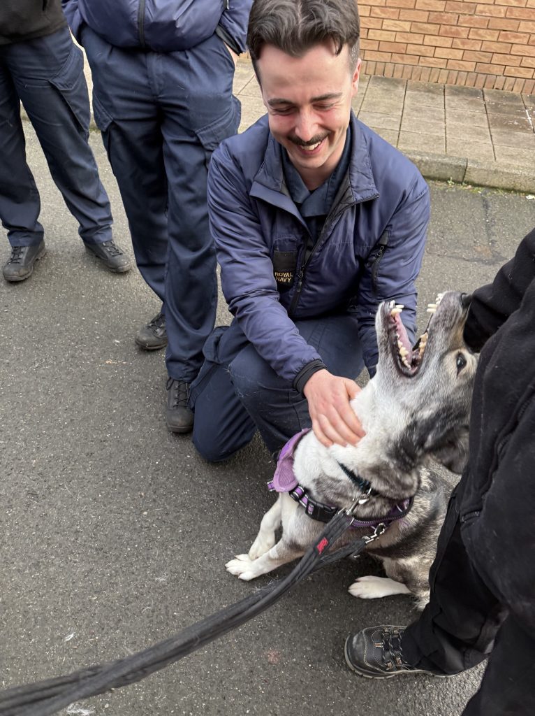Junior sailors from HMS Ambush take part in volunteering day at ...